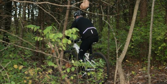 Rhett Walters Memorial Mountain Bike Trail (a.k.a. Rhett's Run) - City ...