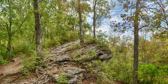 Capen Park - City of Columbia Missouri