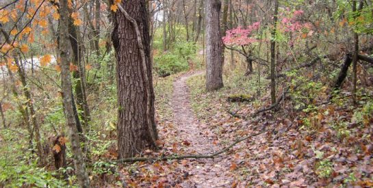 Rhett Walters Memorial Mountain Bike Trail (a.k.a. Rhett's Run) - City ...