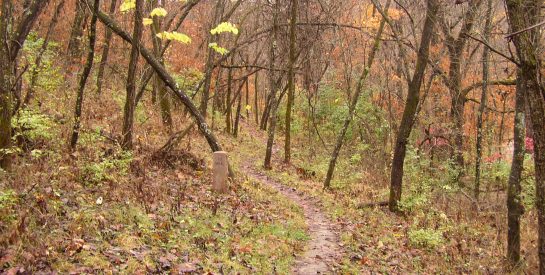 Rhett Walters Memorial Mountain Bike Trail (a.k.a. Rhett's Run) - City ...