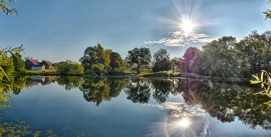Nifong Park - City of Columbia Missouri