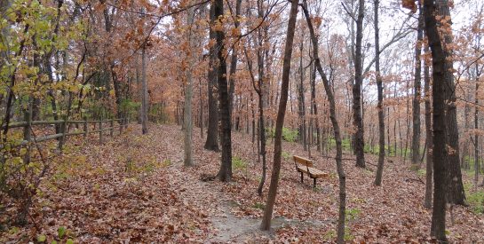 Wilson Park Trail - City of Columbia Missouri