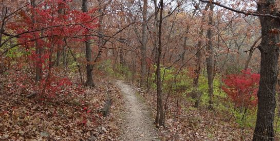 Wilson Park Trail - City of Columbia Missouri