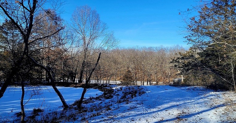 Stanley Poe Stuart Park Property - City of Columbia Missouri