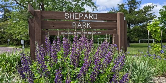 Shepard Boulevard Park - School - City of Columbia Missouri